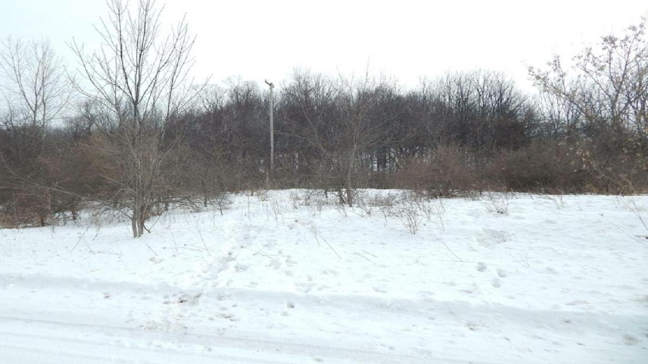 17105 WHITE ROAD, BAILEY, MI Presented by Mike Lamb, ABR, CRS, GRI ...