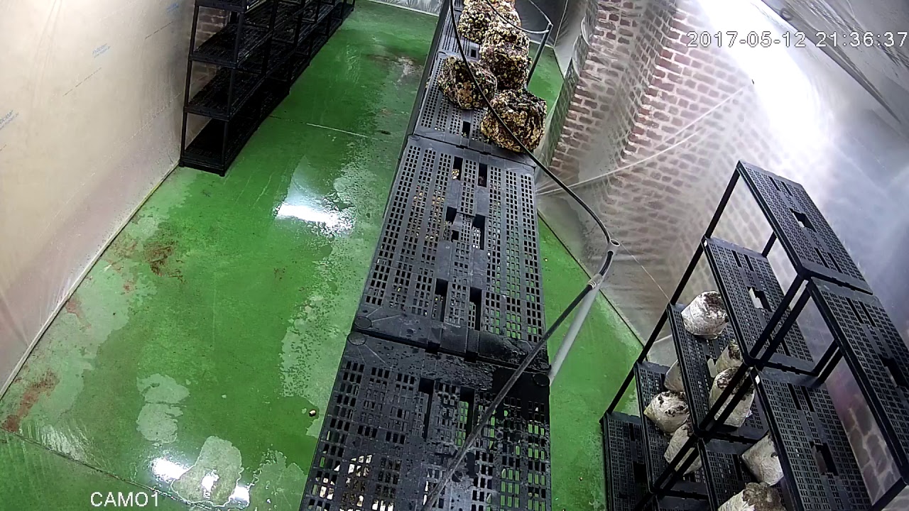 MAKEIT S1 Live Stream - YouTube