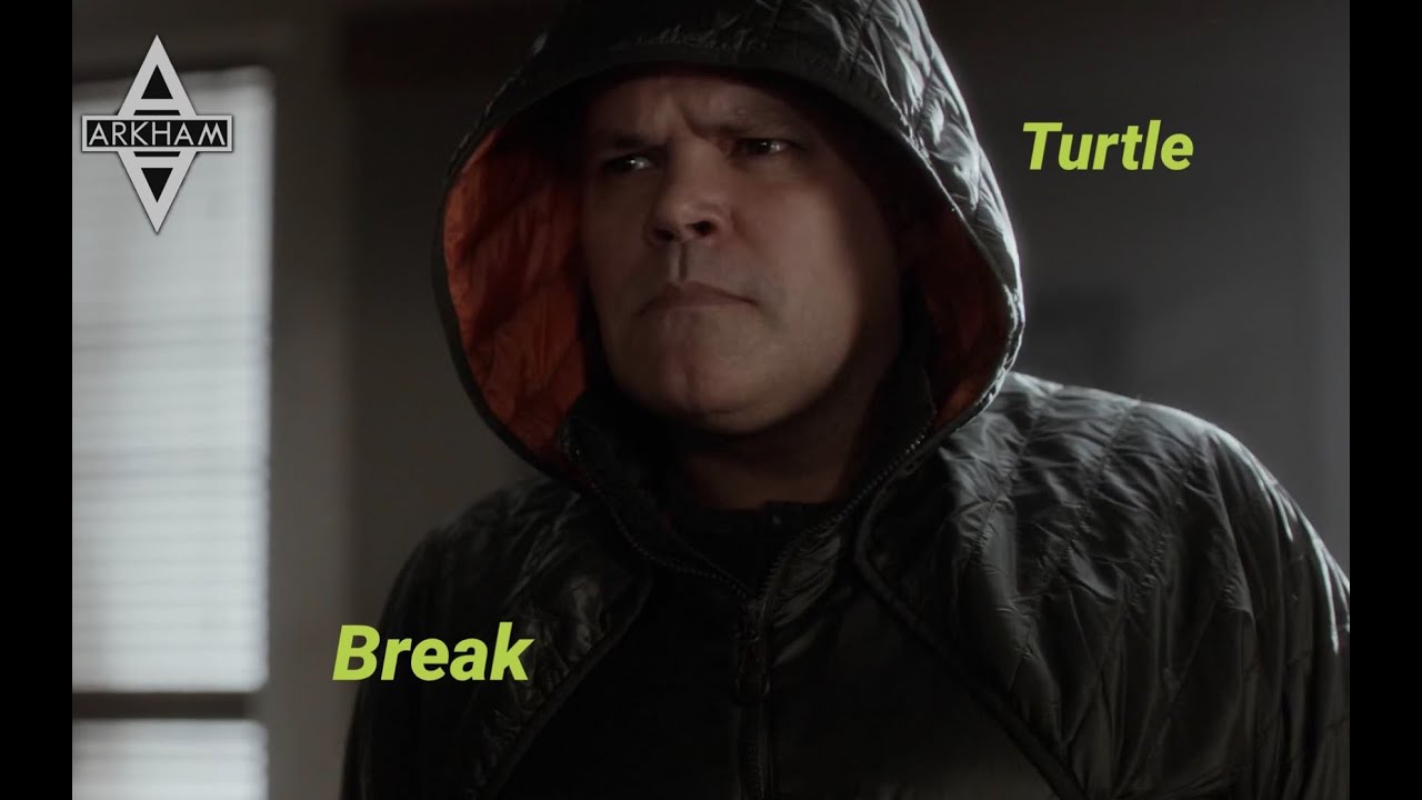 Turtle Tribute - YouTube