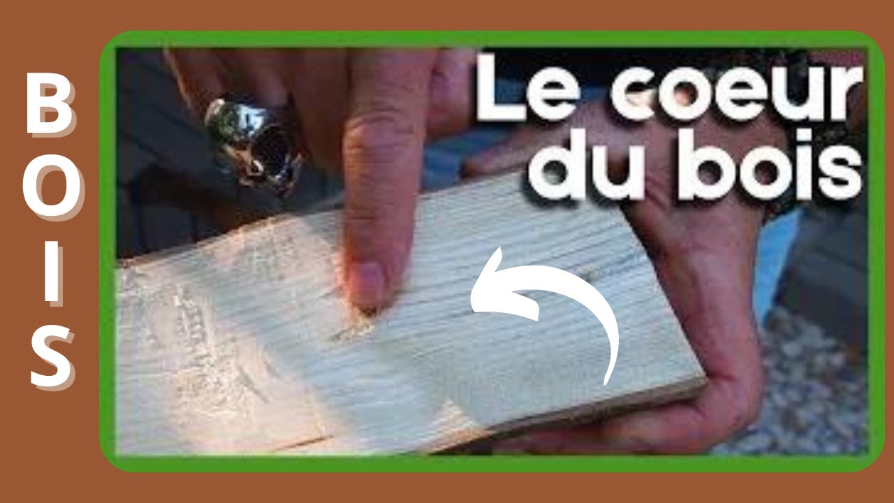 Comment éviter les fentes lors du séchage du bois - YouTube