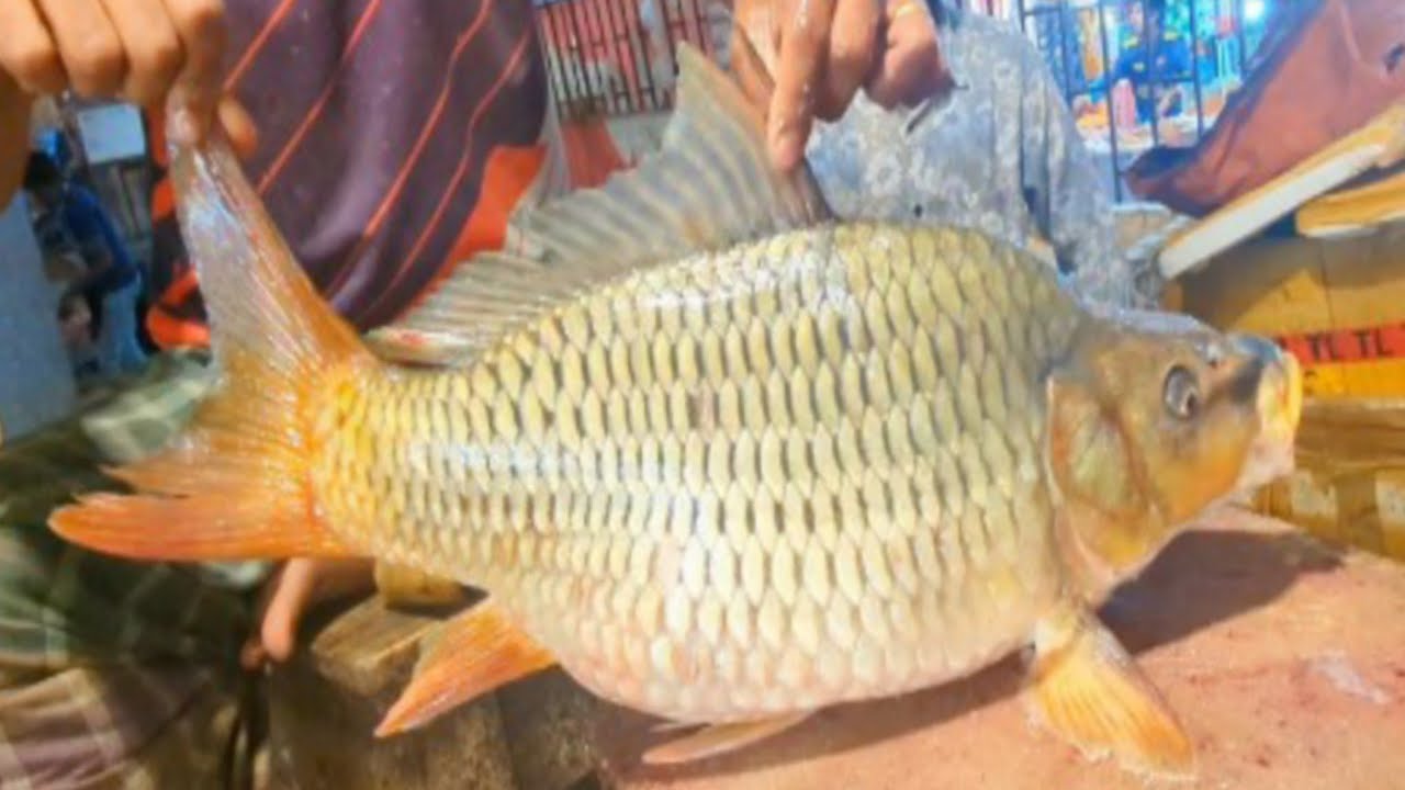 Amazing Carp Fish Cutting & Skinning Skills In Bangladesh Local Fish ...