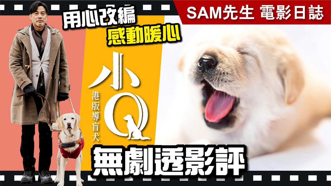🎬 小Q | 無劇透 影評 | Little Q | 港版導盲犬小Q 改編得不錯 用心演繹 感動暖心催淚之作 | Sam先生🎬 - YouTube