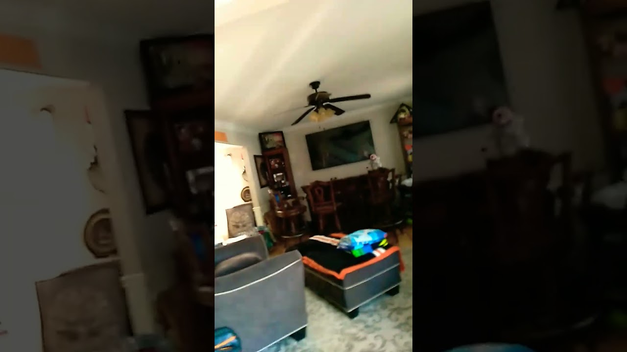sonic the head chog - YouTube