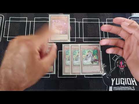Best PURE-ish Shaddoll deck profile! + Locals report - YouTube