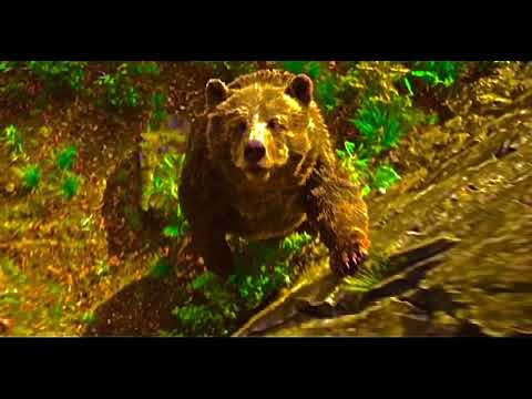 Mowgli Meets Baloo (The Jungle Book 2016)
