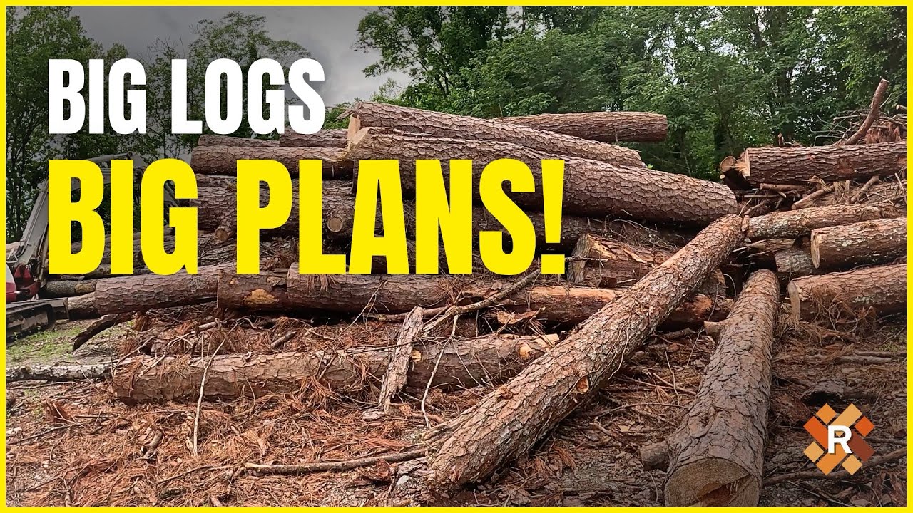 Picking Prime Logs for the Sawmill | River Bottom Pine - YouTube