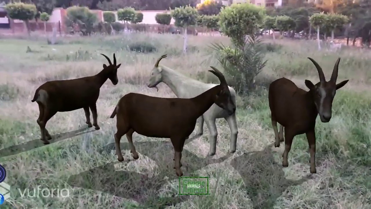 Real World Animals AR - YouTube