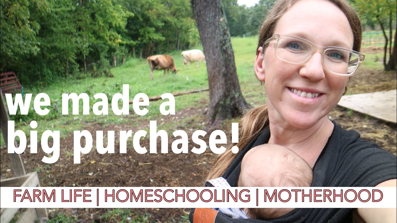 The farm is growing // August Large Family DITL - YouTube