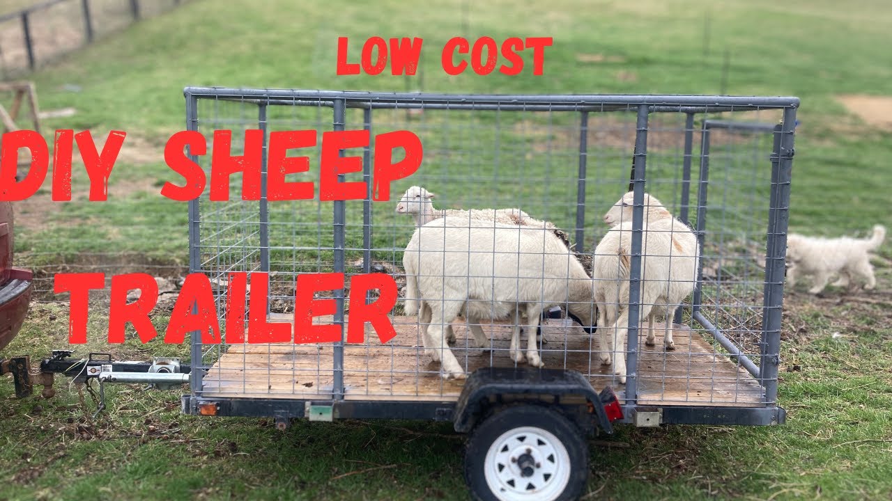 MY DIY SHEEP TRAILER - YouTube