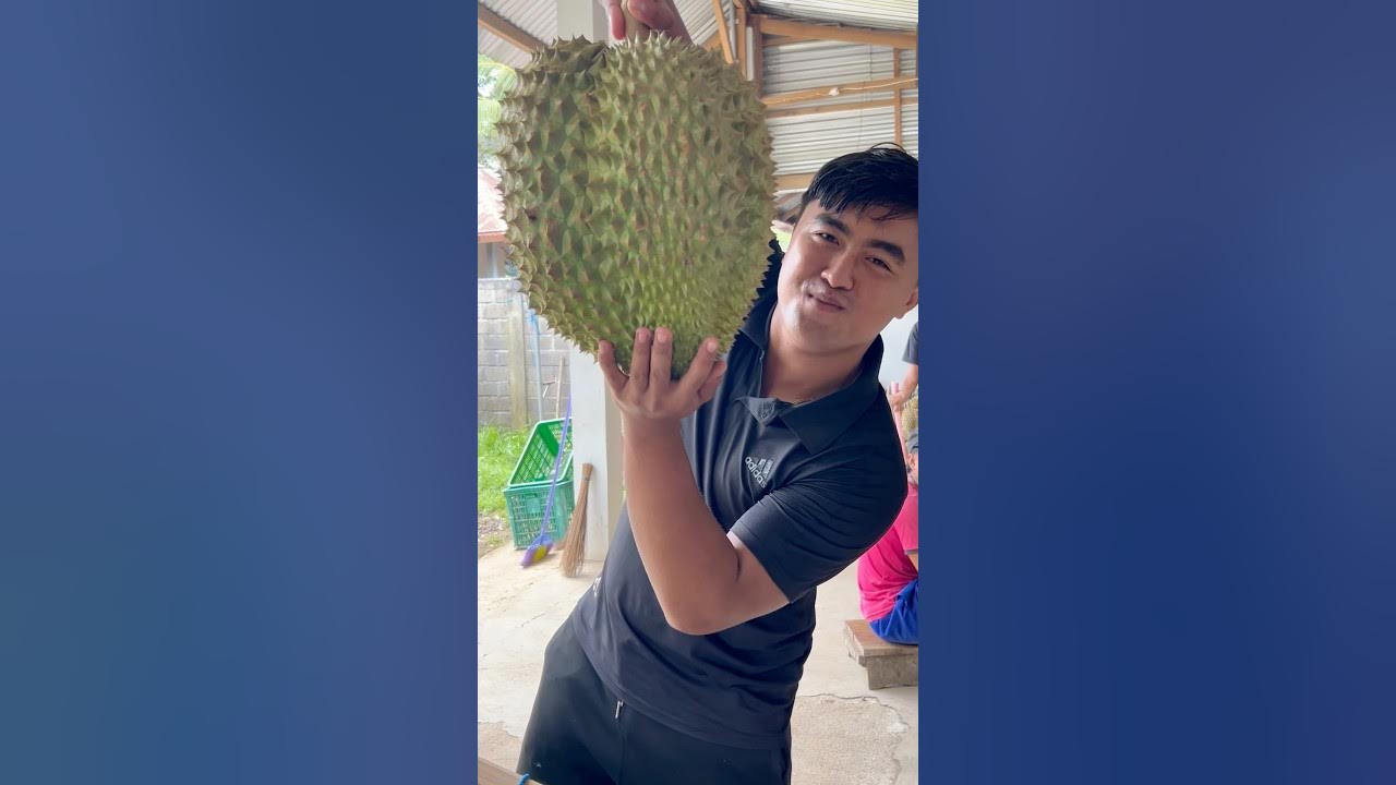 Durian montong berat 10 kilo #doniartawan - YouTube