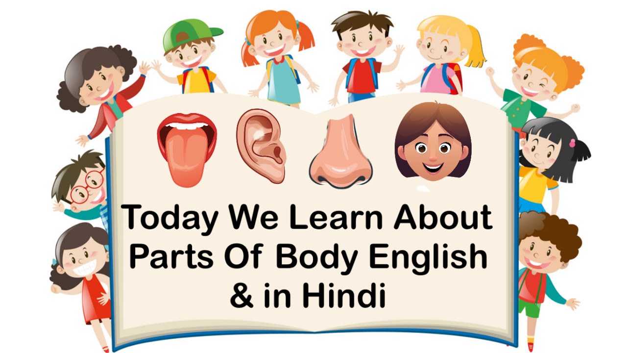 Parts Of Body Hindi And English Human Body Parts Name Hindi English Parts Of Body Hindi And English Human Body Parts Name Hindi English