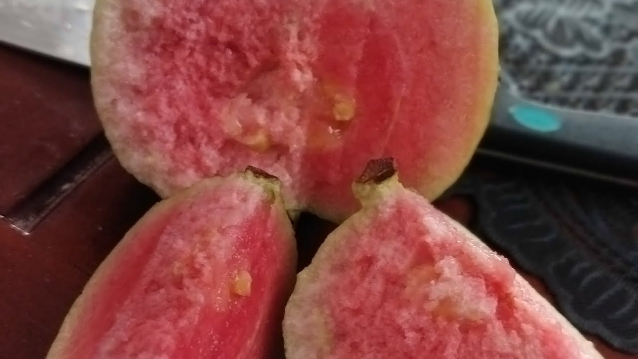 Jambu Biji Red Diamond/Hong Pause, Arso Keerom Papua - YouTube