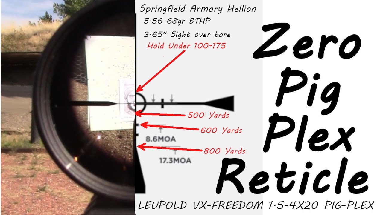 Maximum Point Blank Range Hellion and Leupold Pig-Plex Zero - YouTube