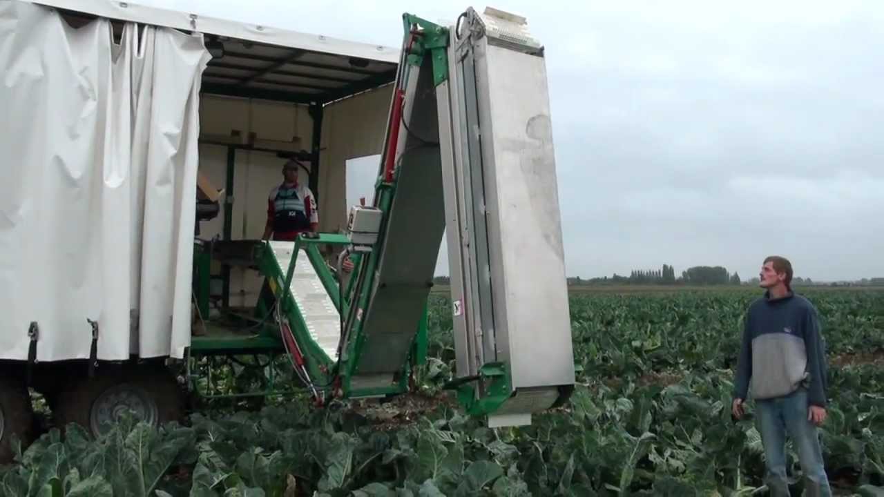 Harvesting trailer with foldable harvesting belt | Sweere - YouTube