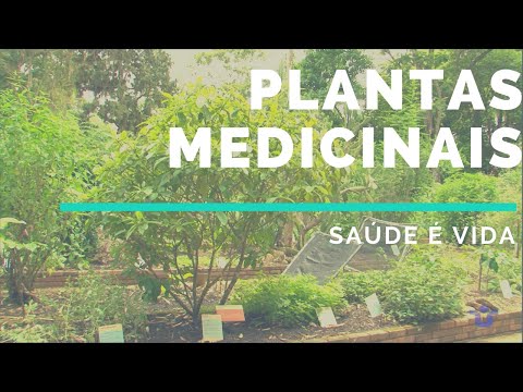 Plantas Medicinais: a cura pela natureza | Saúde é Vida