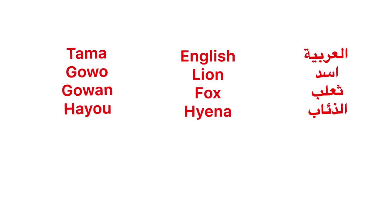 How to say lion,fox and hyena by Tama language - YouTube