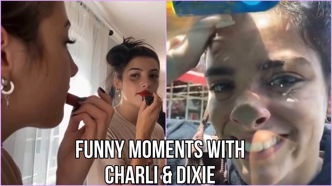 funny moments with Charli and Dixie - YouTube