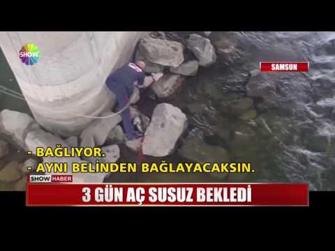 3 gün aç susuz bekledi