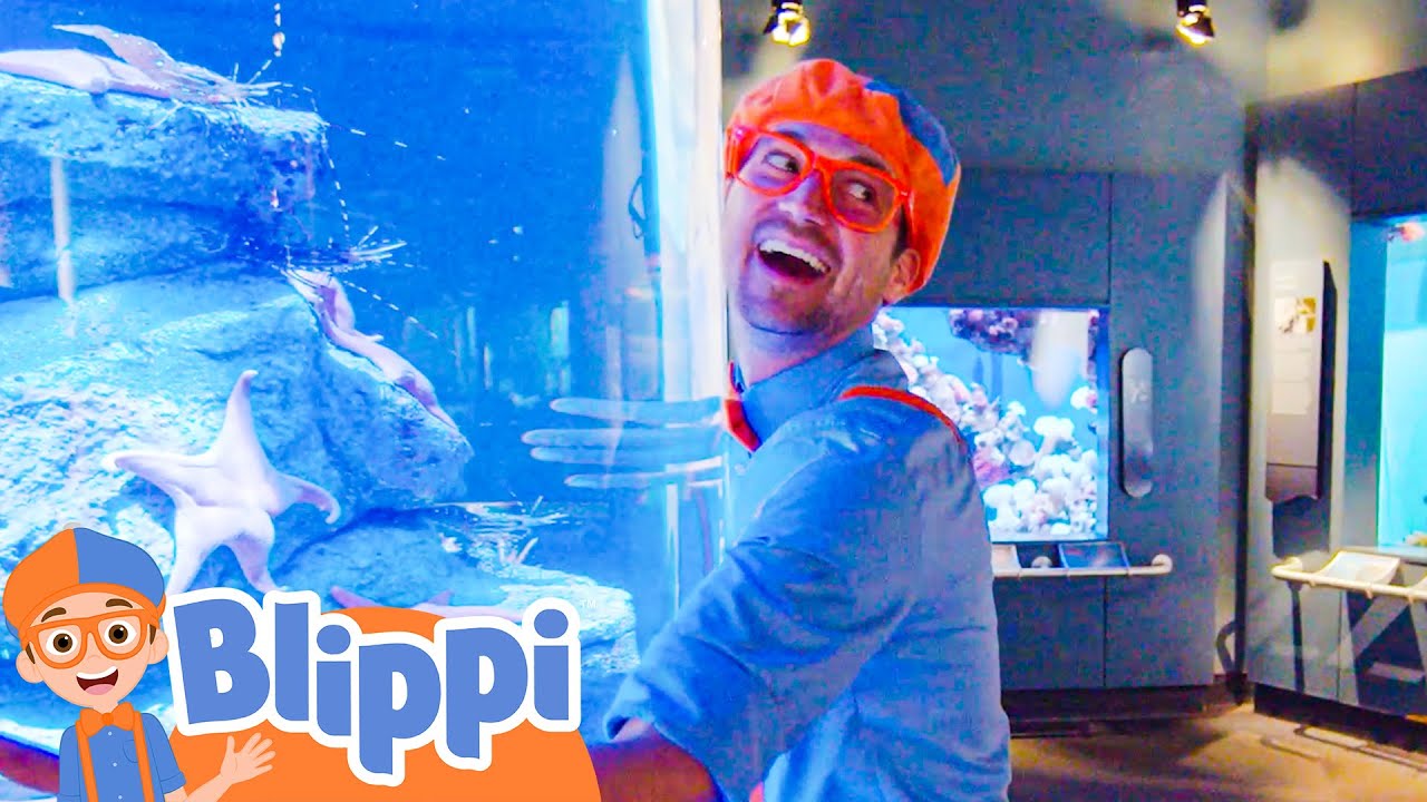 Aquarium of The Pacific | Blippi | Kids Songs | Moonbug Kids - YouTube
