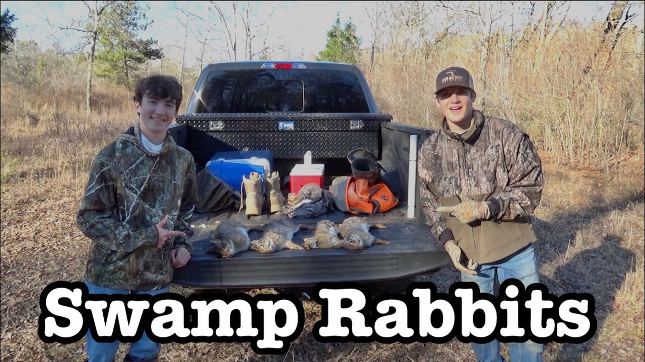 Hunting for RABBITS in the SWAMP - YouTube