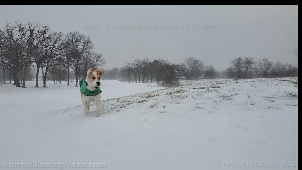 Winter Scenes In Wheaton Illinois - 1/5/2022 - YouTube