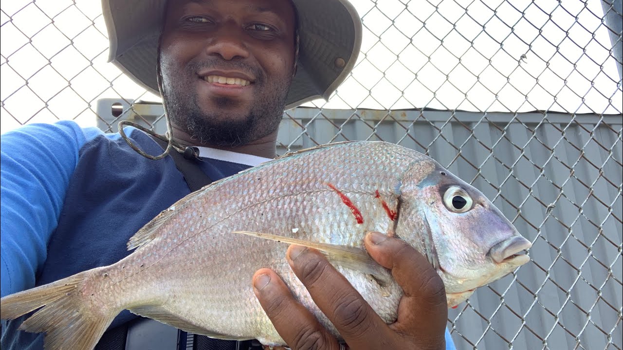 Jumbo scup Porgy catch clean cook in coconut milk - YouTube