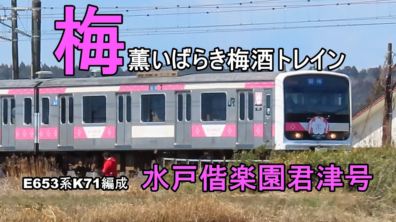 【E501系で梅酒？】E653系K71編成 水戸偕楽園君津号、E501系K754編成 SAKIGAKE 茨城の梅酒と食を楽しむ旅「梅薫るいばらき梅酒トレイン」 - YouTube