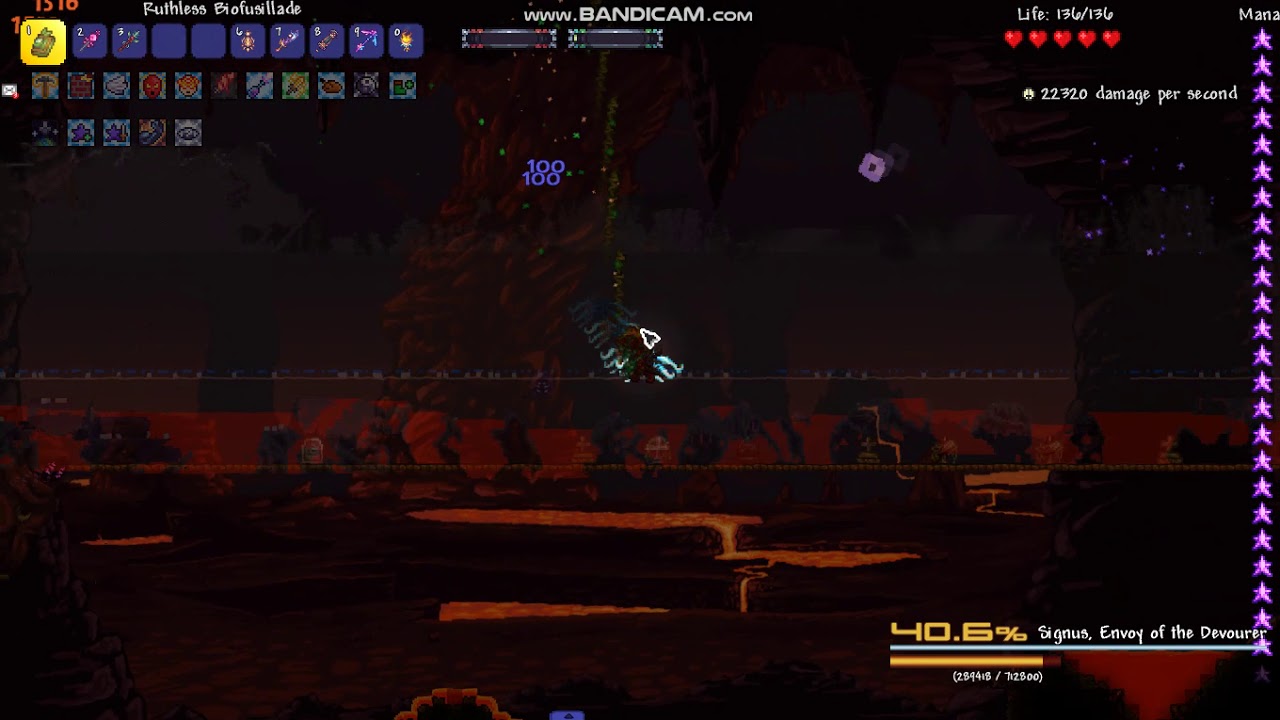 Calamity Rev - Signus No Hit - YouTube