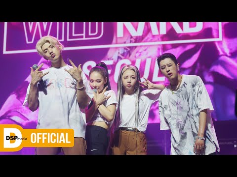 KARD 콘서트에서 일어난 일😎 │ 2020 WILD KARD IN SEOUL 비하인드 │ KARD