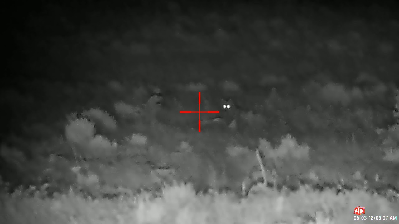 ATN xsight 4k pro, Sniper hog lights 66LRX, night vision, night hunting ...