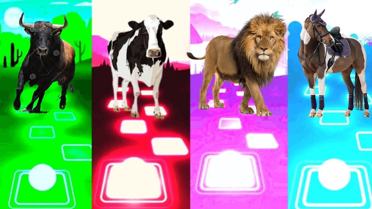 Funny Bull Coffin 🆚 Funny Cow Coffin 🆚 Funny Lion Coffin 🆚 Funny Horse ...