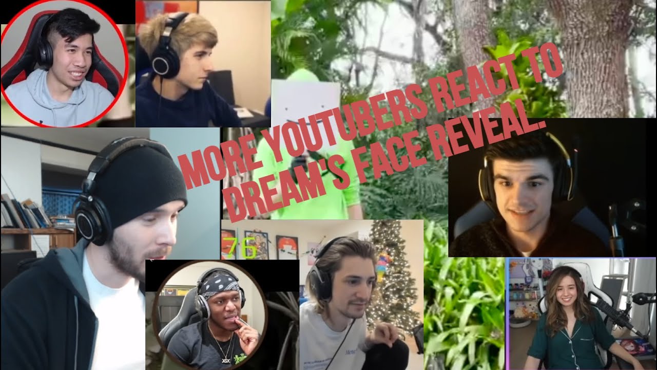 More Youtubers react to Dream's face reveal Pt 2 - Mr Beast's Youtube ...