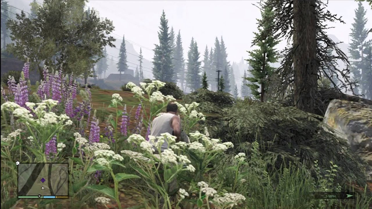 GTA V Cletus 02 Fair Game - YouTube