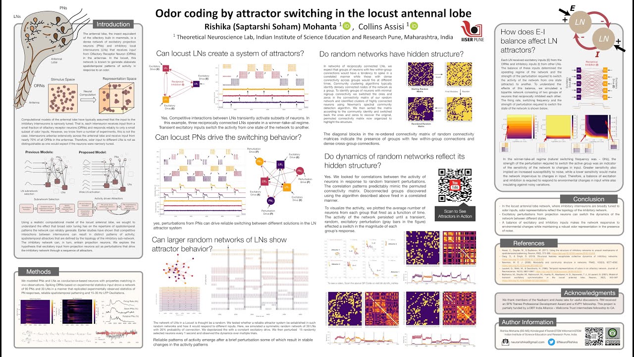 SfN Virtual Connectome 2021 - Poster - YouTube