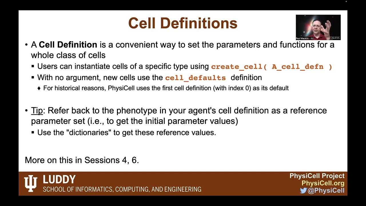 PhysiCell ws2022 Session 2: PhysiCell First Dive - YouTube