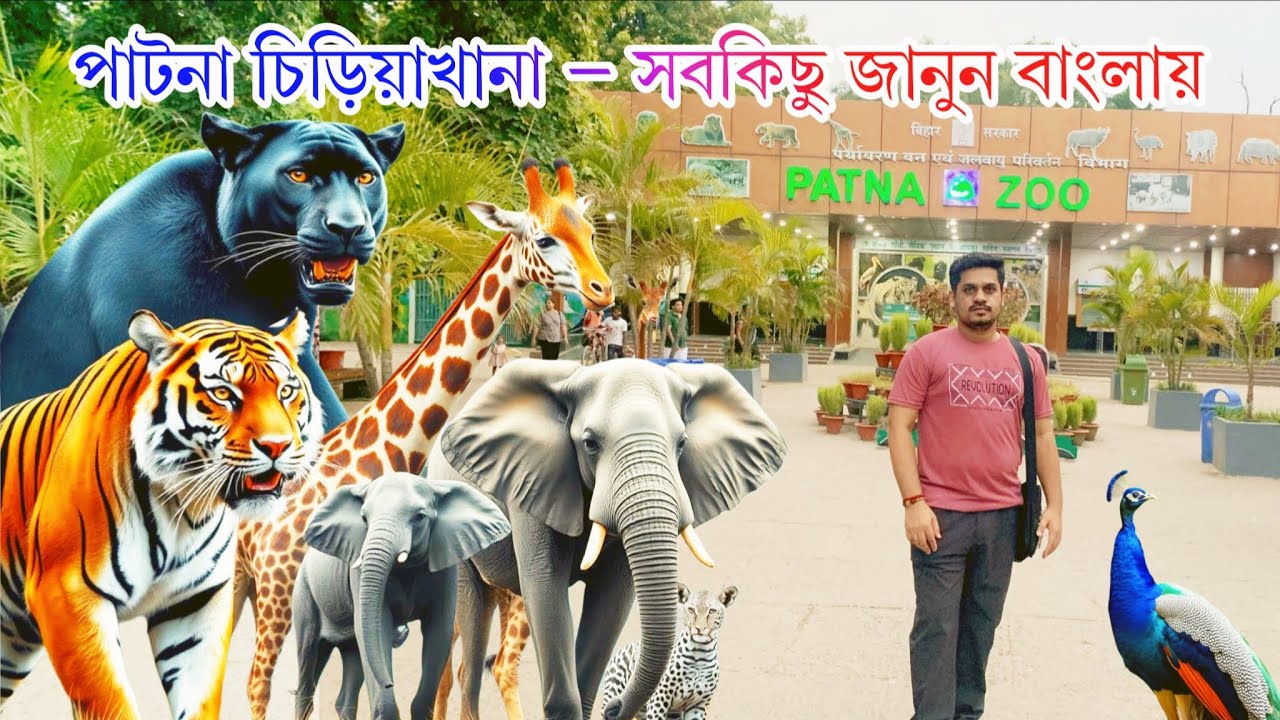 Patna Zoo 2025: বাঘ, সিংহ ও প্রকৃতির cinematic walkthrough - YouTube