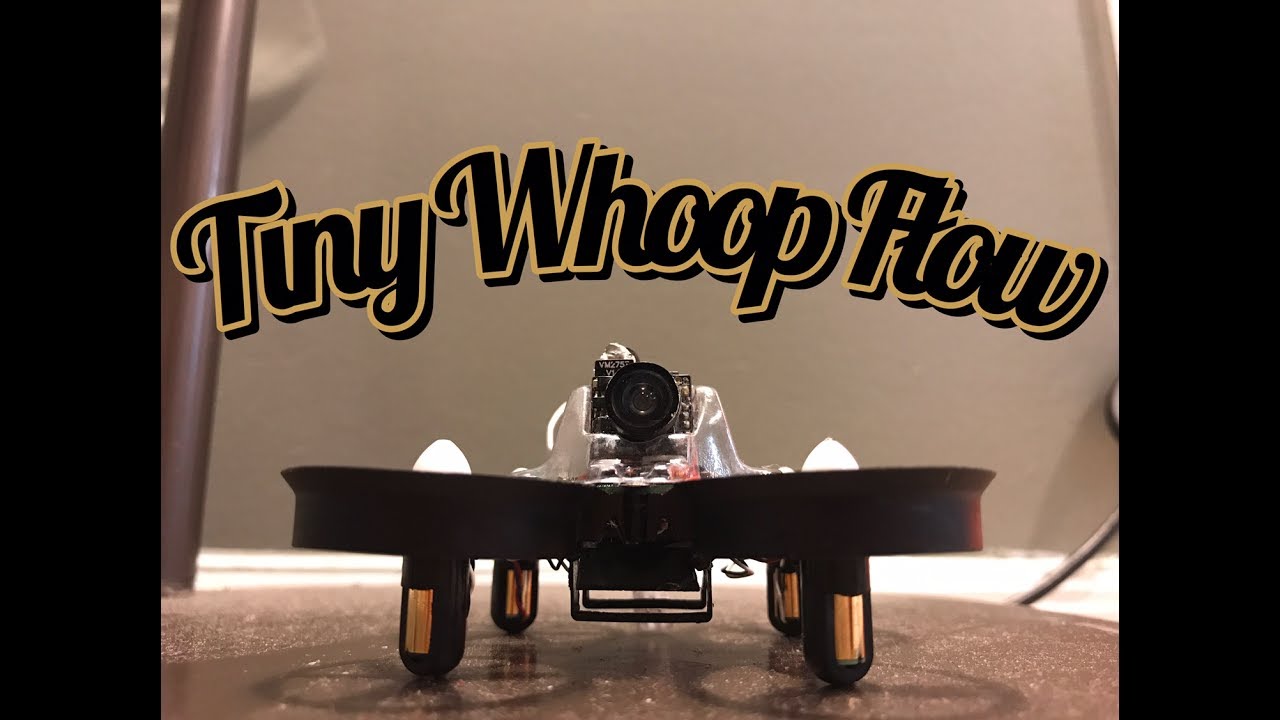 Tiny Whoop Fłōw - YouTube