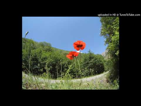 Aşık Daimi - Dostun Bahçesine Bir Hoyrat Girmiş