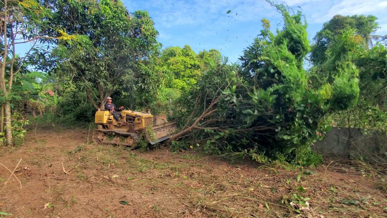 Amazing Clearing Task! Skill MITSUBISHI Bulldozer Push Tree in Forest ...