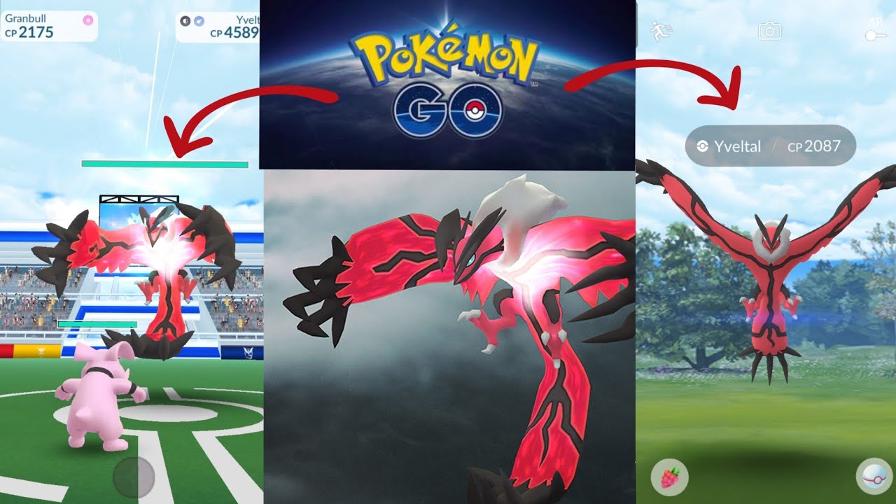 Yveltal Pokemon Raid battle in Pokemon go #pokemongo #yveltal # ...