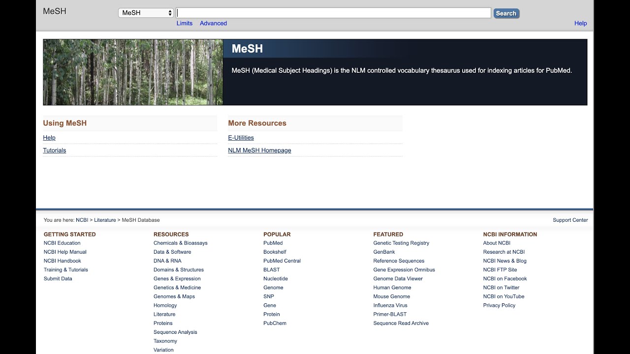 Building a MeSH Search in PubMed - YouTube