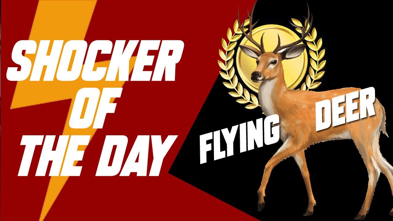 Shocker Of The Day | Flying Deer - YouTube