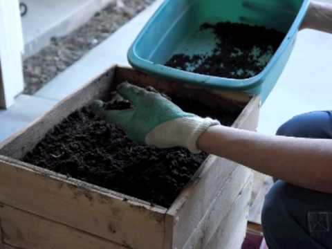 Harvesting Worm Castings: Cedar Worm Bin Vertical Migration - YouTube