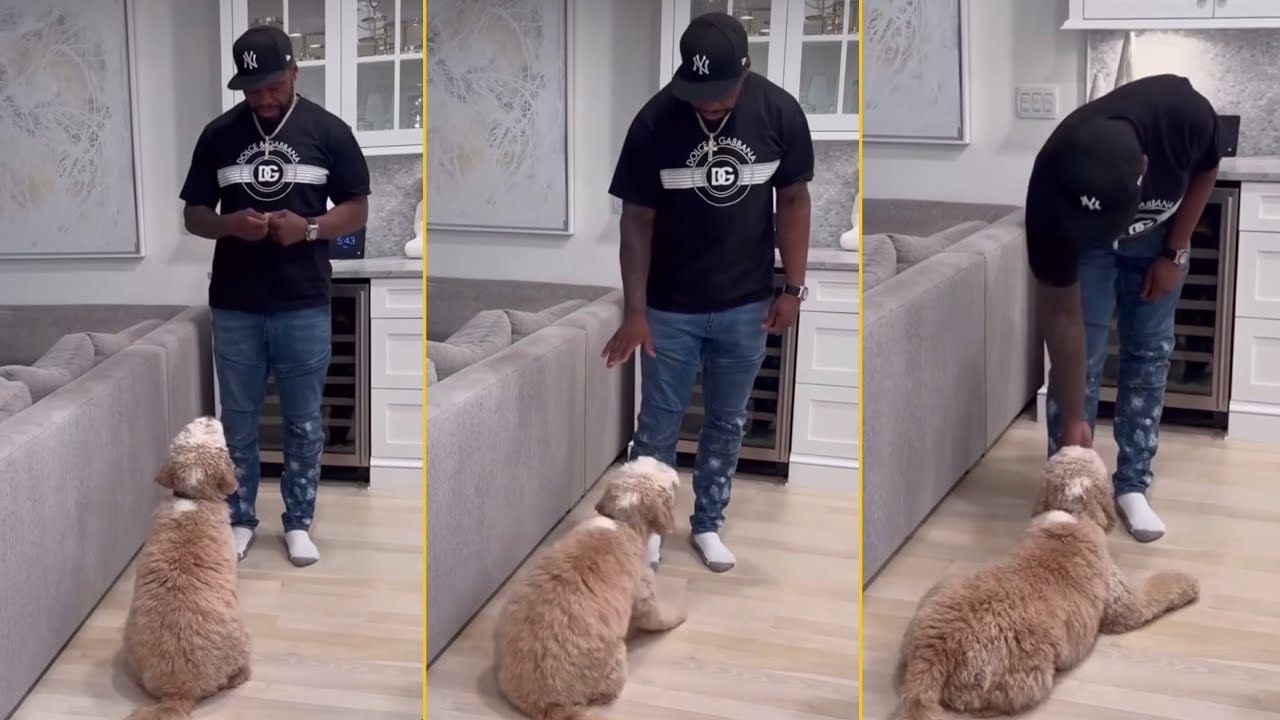 50 Cent Training His Dog And Teaching How To Sit Down ‘From Being ...
