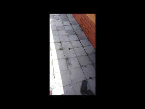 стрим по релай лайф - YouTube