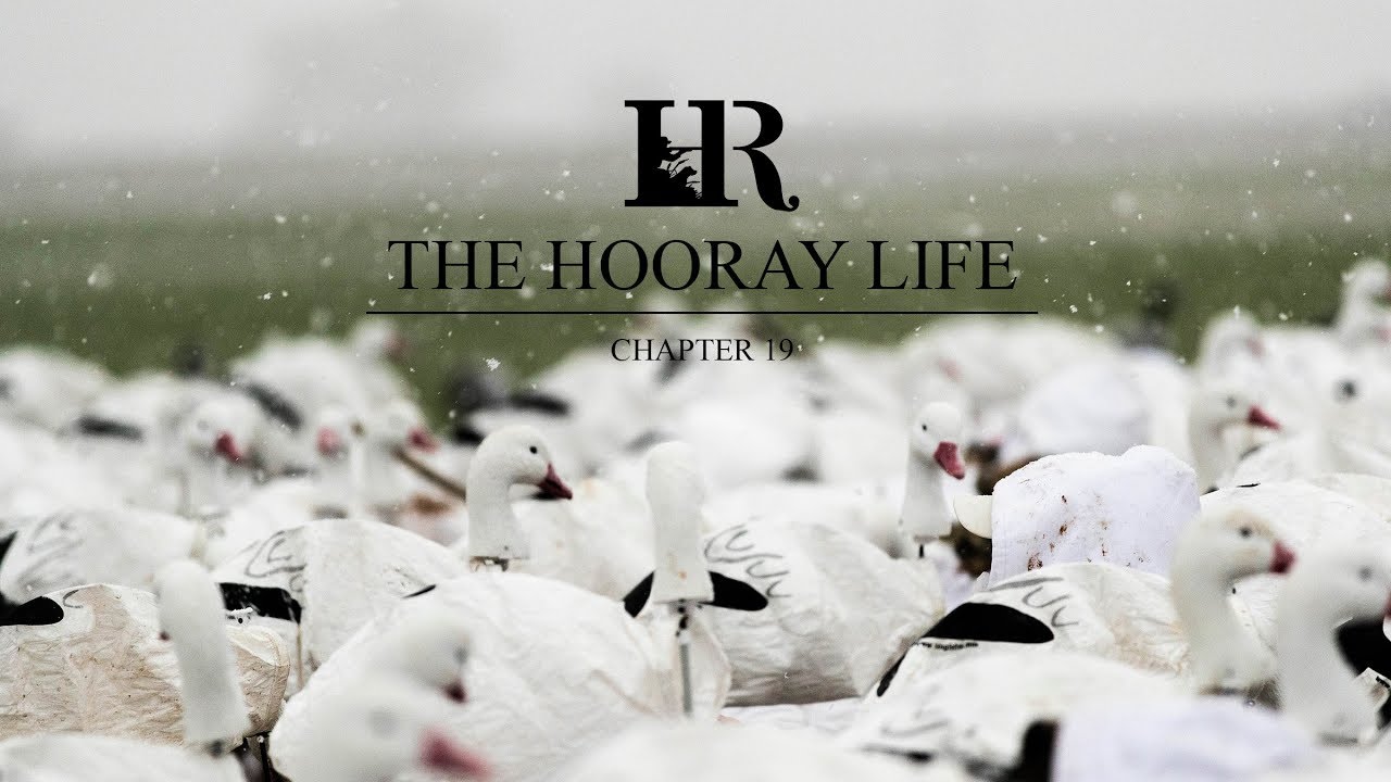 The Hooray Life // Chapter 19 / Kansas Goose Field Hunt - YouTube