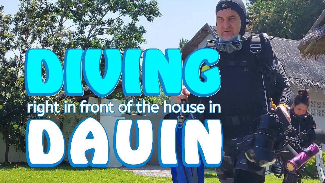 DIVING in front of the house in DAUIN - YouTube
