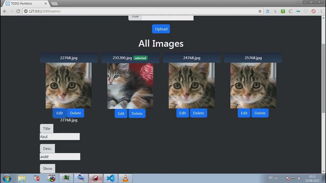 cs50x 2022 final project - YouTube