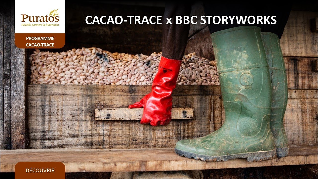 Notre programme Cacao-Trace - YouTube