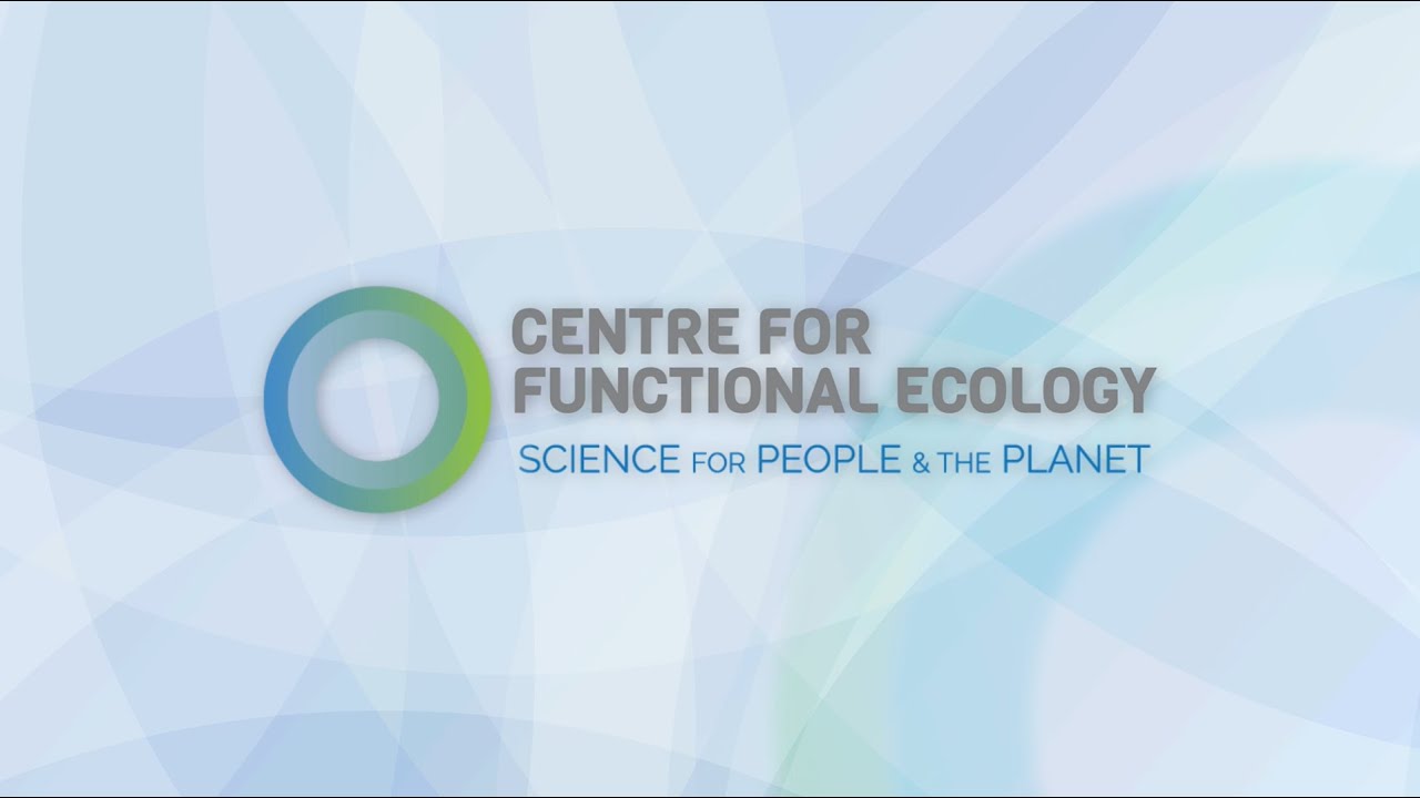 Centre for Functional Ecology | Promotional video - YouTube